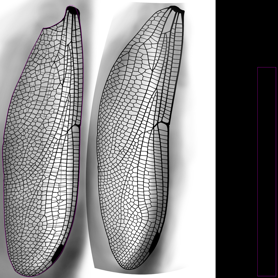 3d model dragonfly pose 01