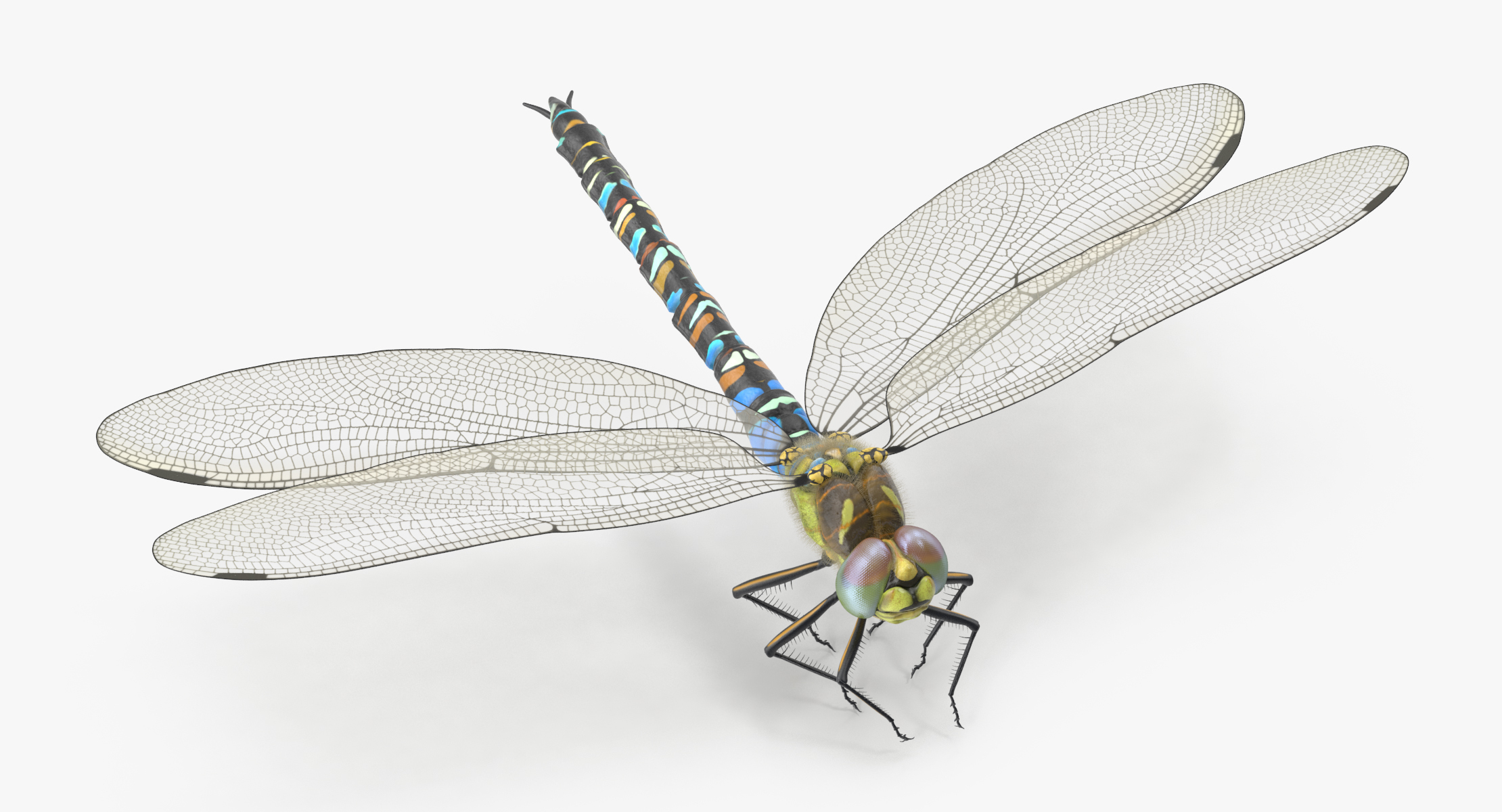 3d model dragonfly pose 01