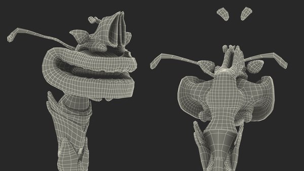 3D Female Respiratory System model - TurboSquid 1839404