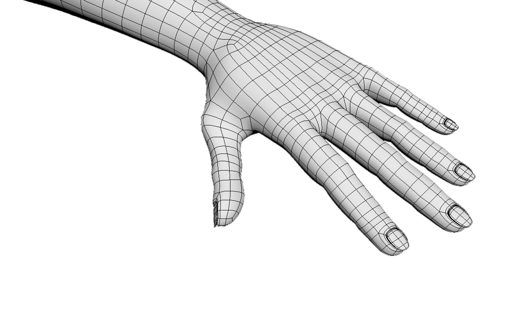 3D Model Female Human Base - TurboSquid 1320162