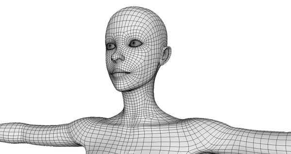 3D model female human base - TurboSquid 1320162