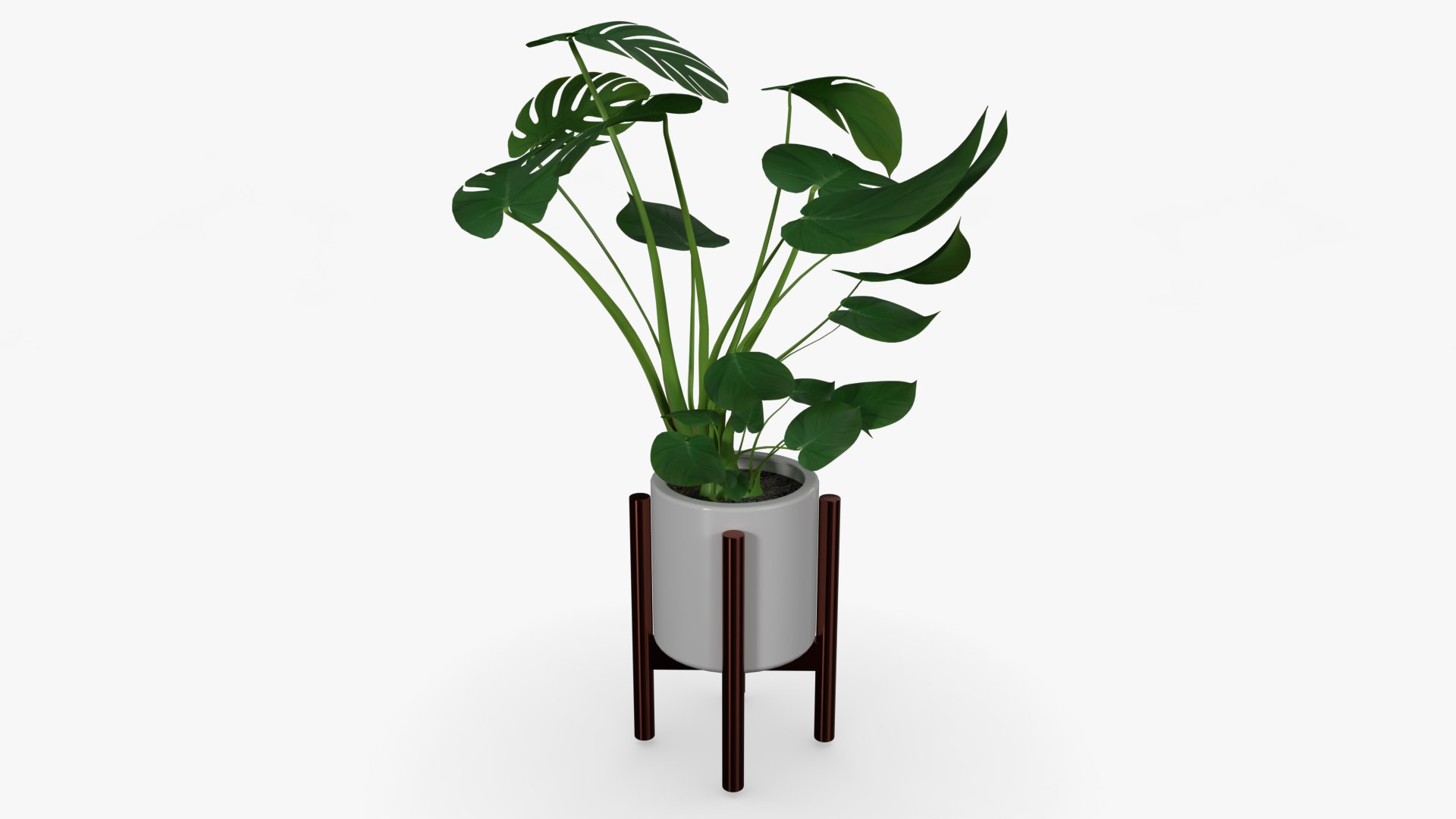 Monstera Pot Model - TurboSquid 2071528
