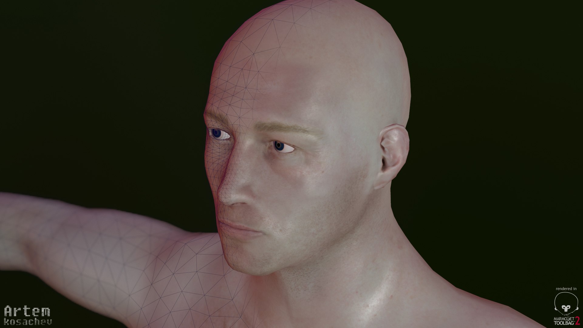 3d Model Human Male