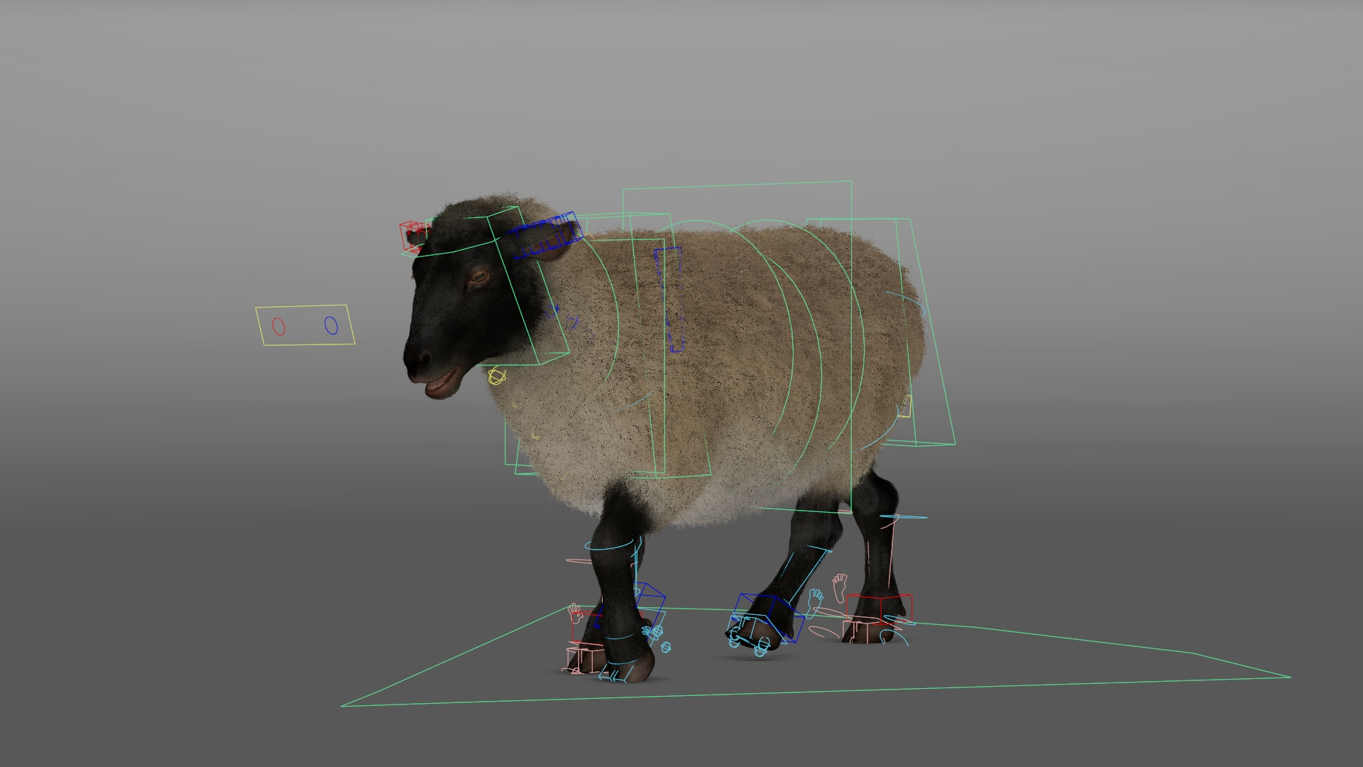 Sheep Rigged Animated With Fur 3D Model - TurboSquid 2167337