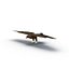 3D Model Rigged Eagles 2 - TurboSquid 1438416