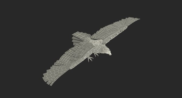 3D model rigged eagles 2 - TurboSquid 1438416