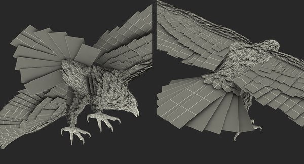 3D model rigged eagles 2 - TurboSquid 1438416