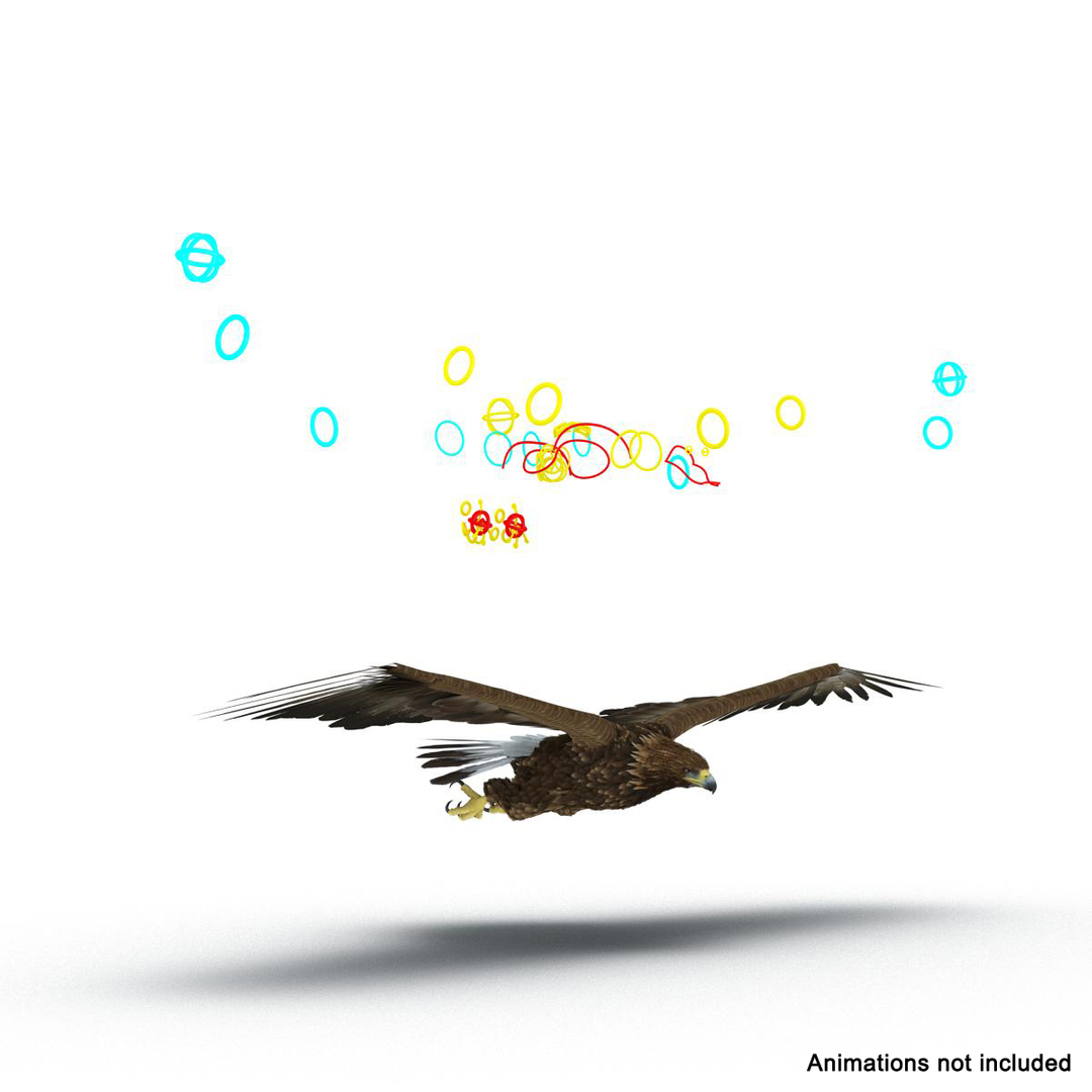 3D Model Rigged Eagles 2 - TurboSquid 1438416