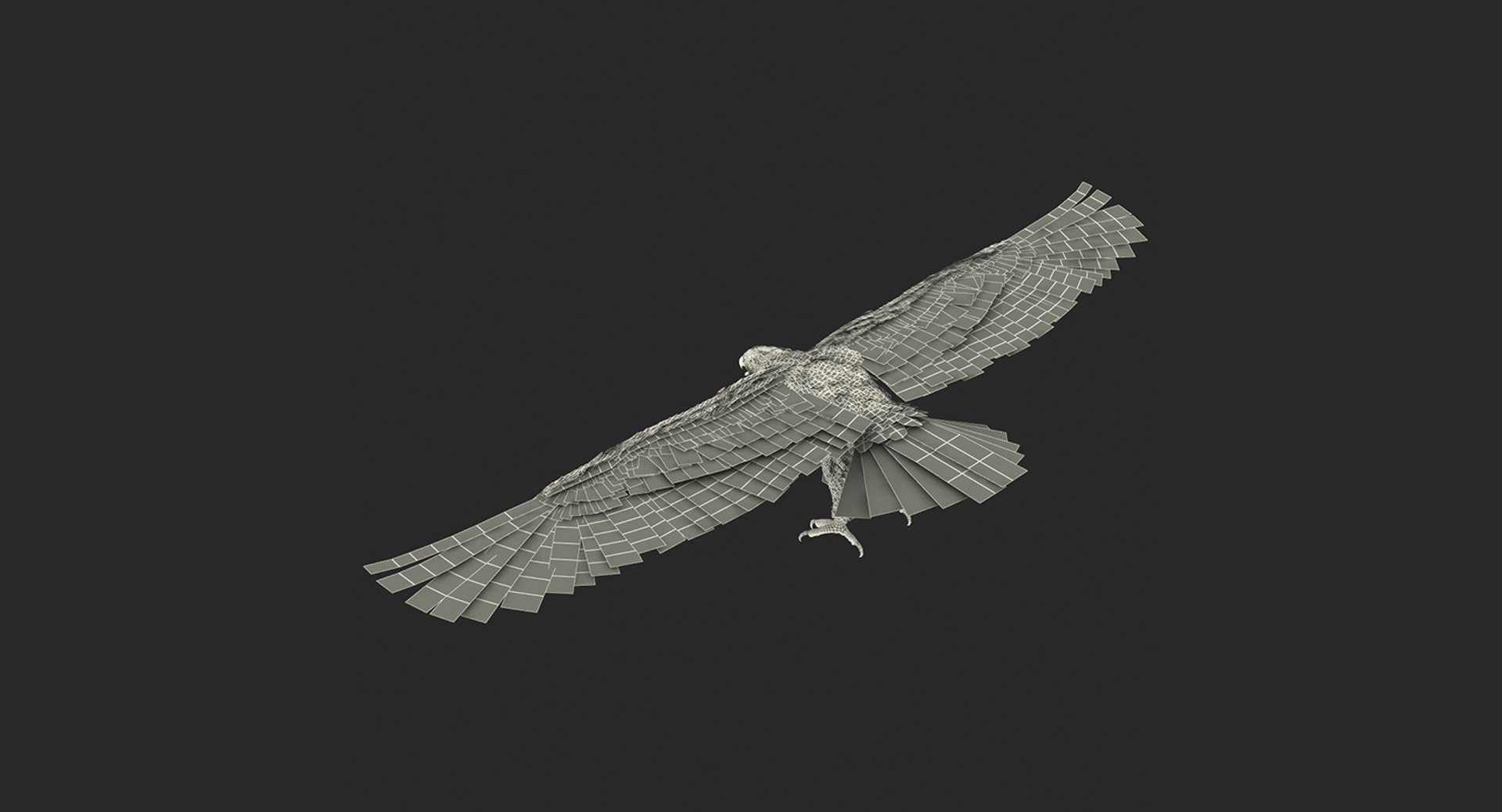 3D model rigged eagles 2 - TurboSquid 1438416