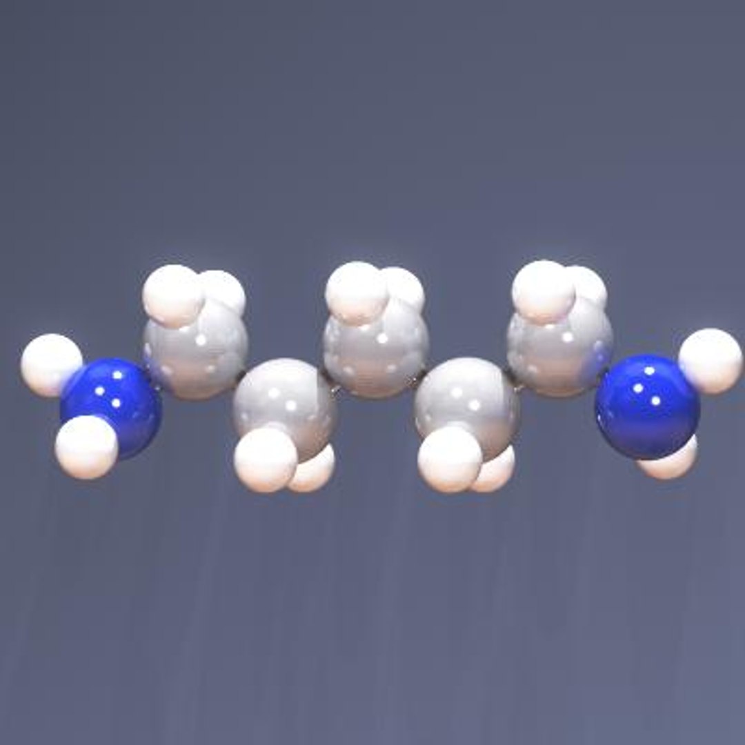 3d Molecule Cadaverine