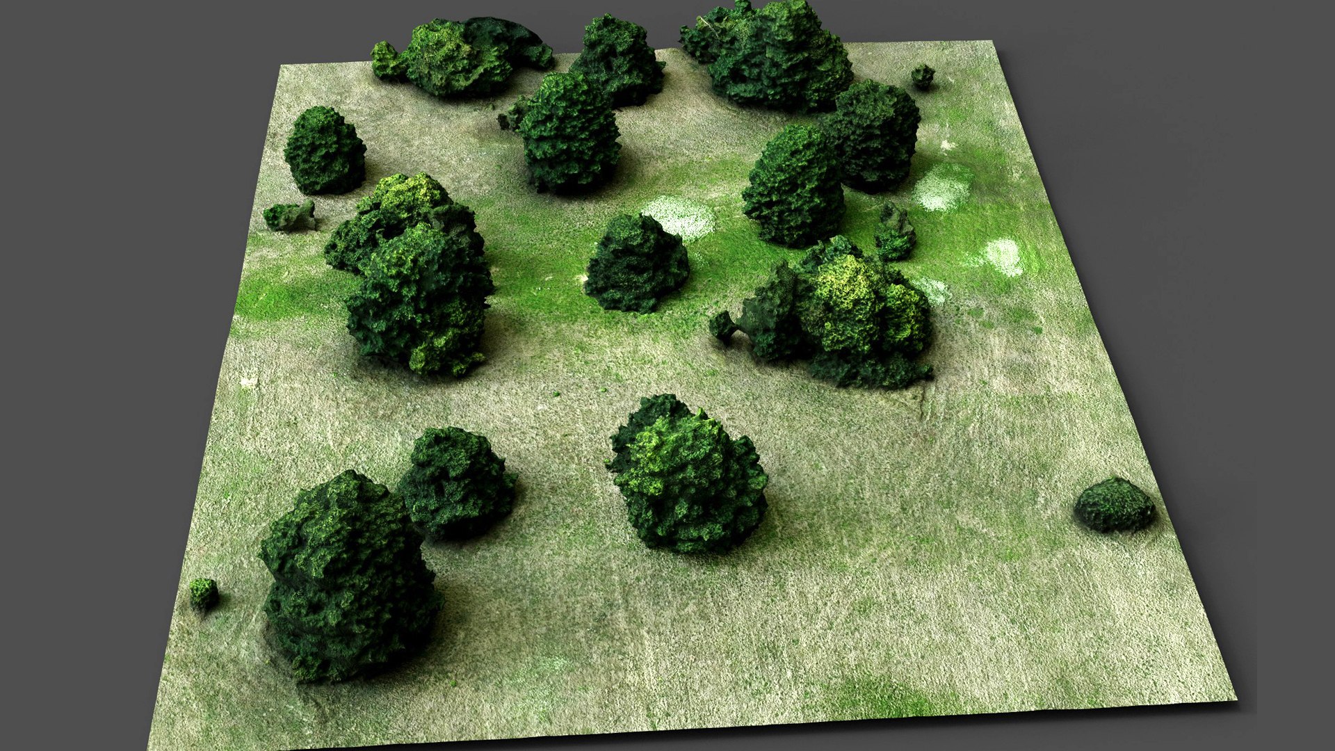 3D Trees Terrain Area Pt3 Lowpoly Drone Photogrammetry - TurboSquid 2338730