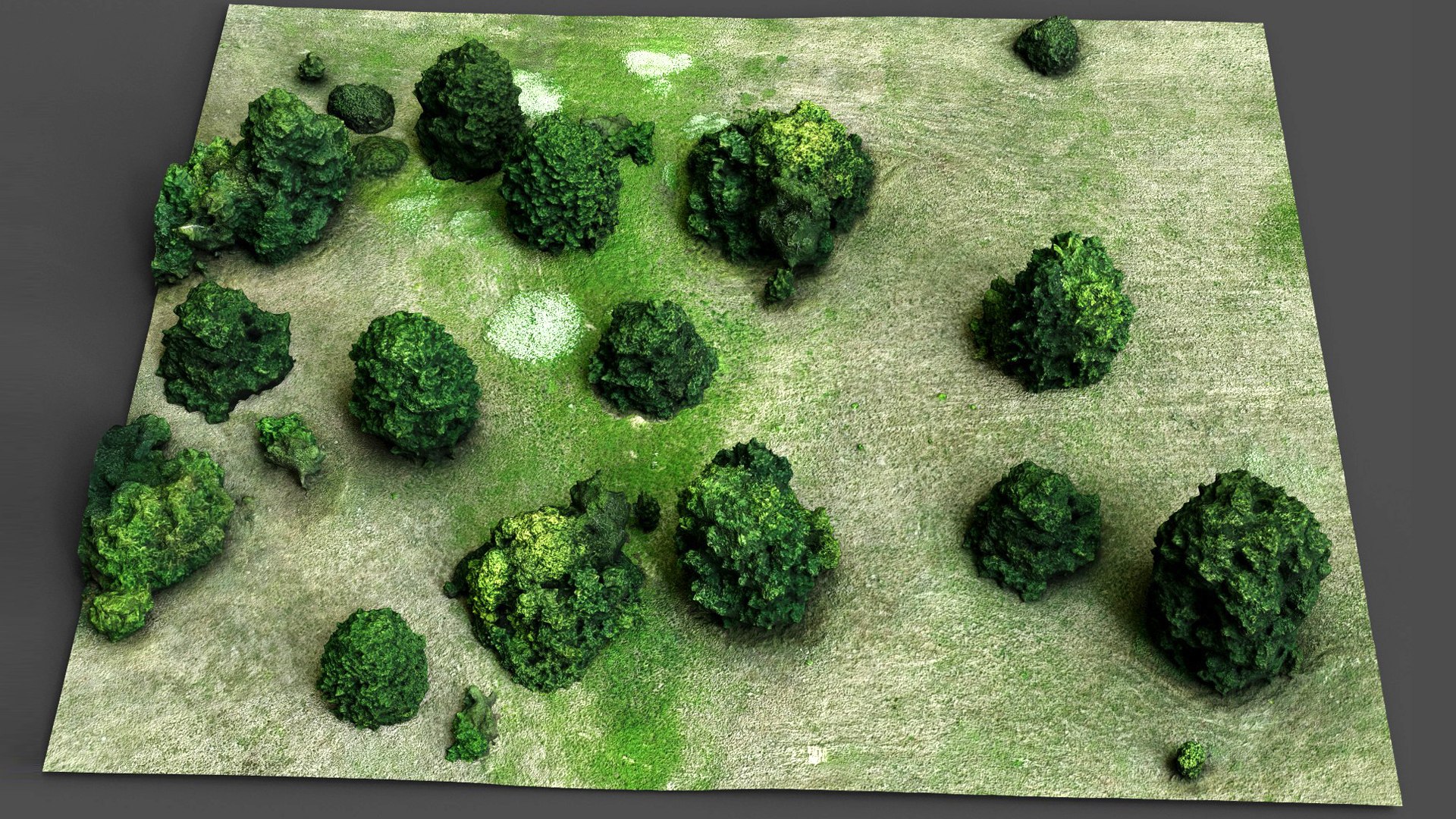 3D Trees Terrain Area Pt3 Lowpoly Drone Photogrammetry - TurboSquid 2338730