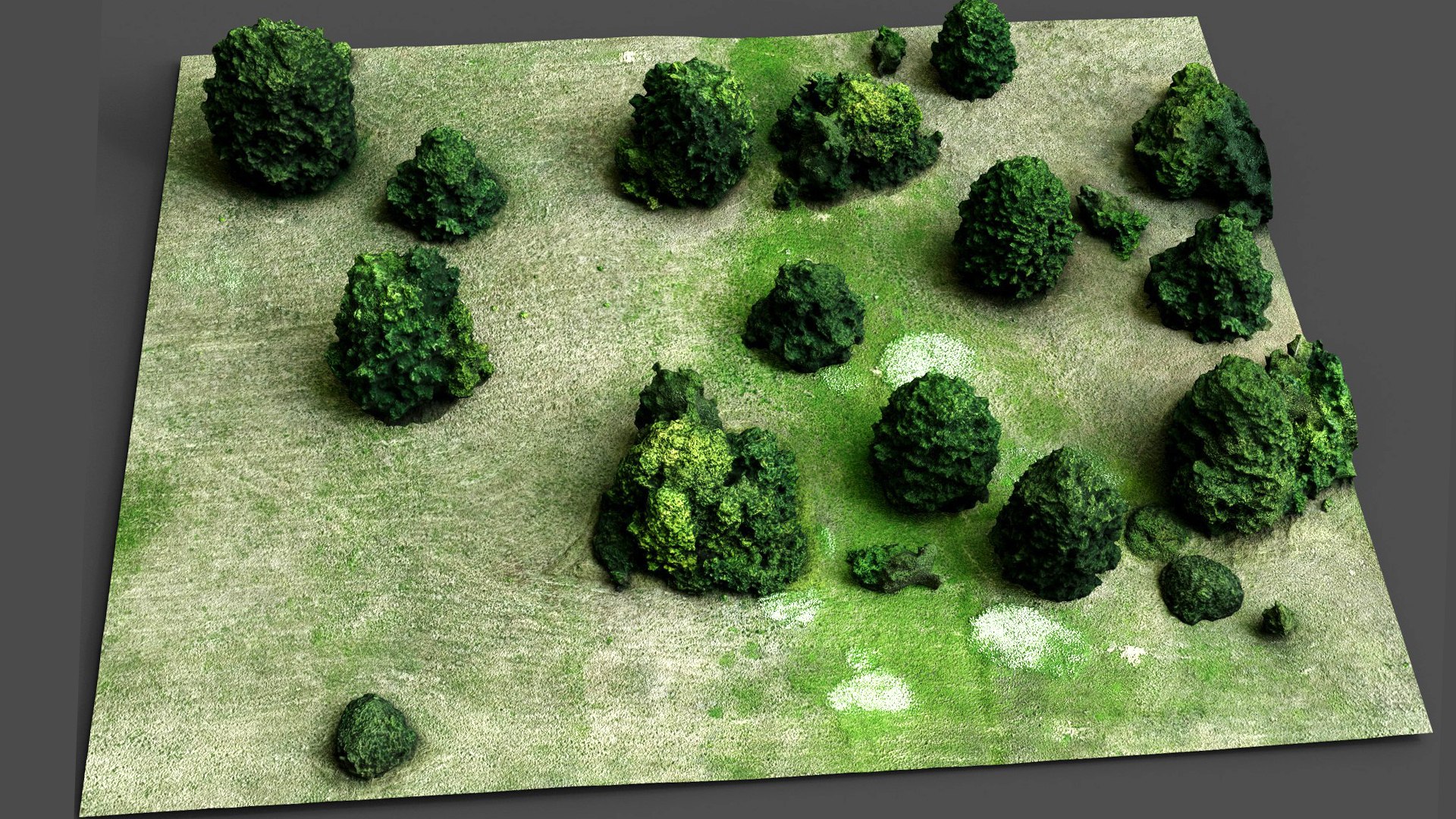 3D Trees Terrain Area Pt3 Lowpoly Drone Photogrammetry - TurboSquid 2338730