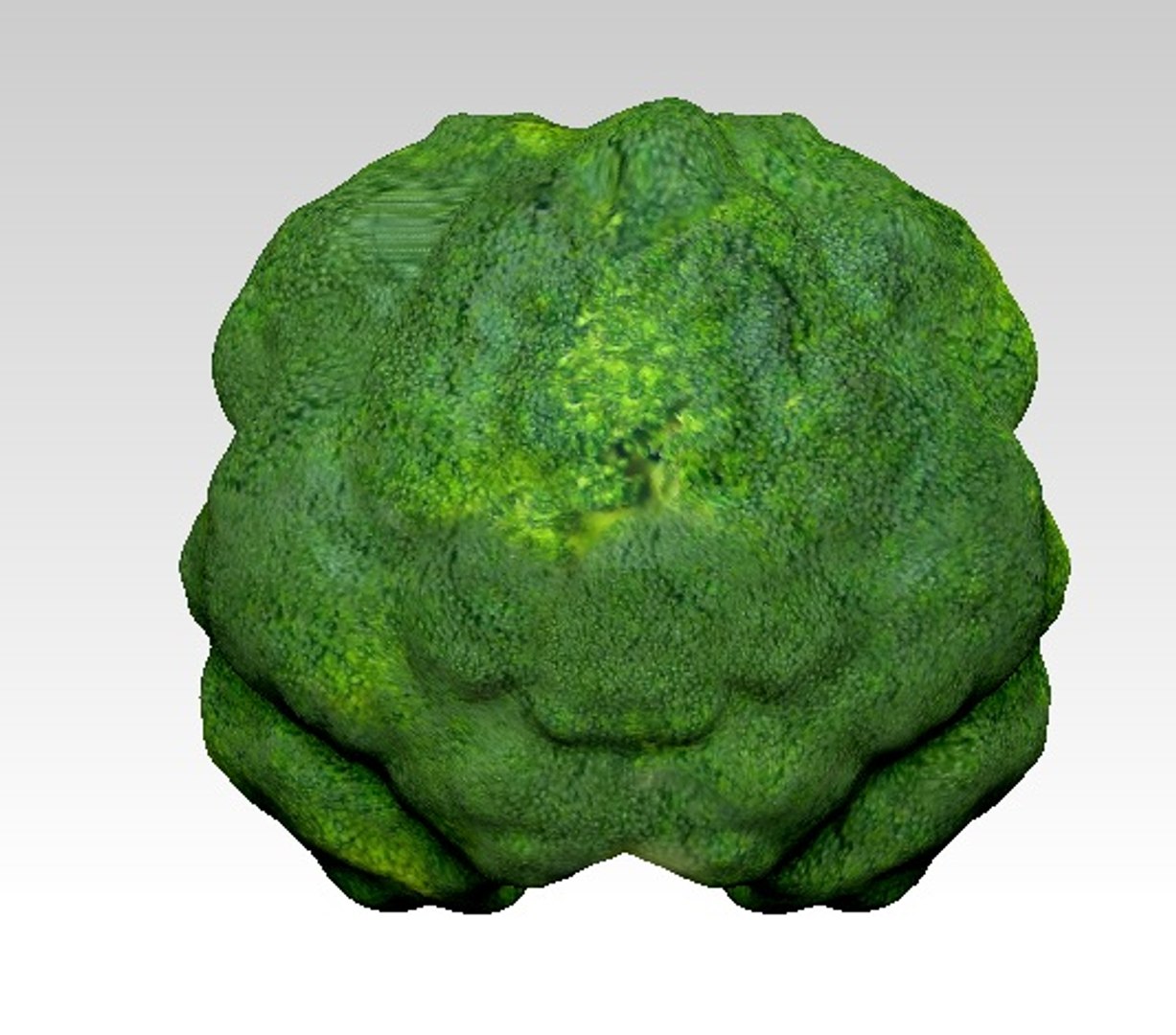 Realistic Broccoli 3d Model