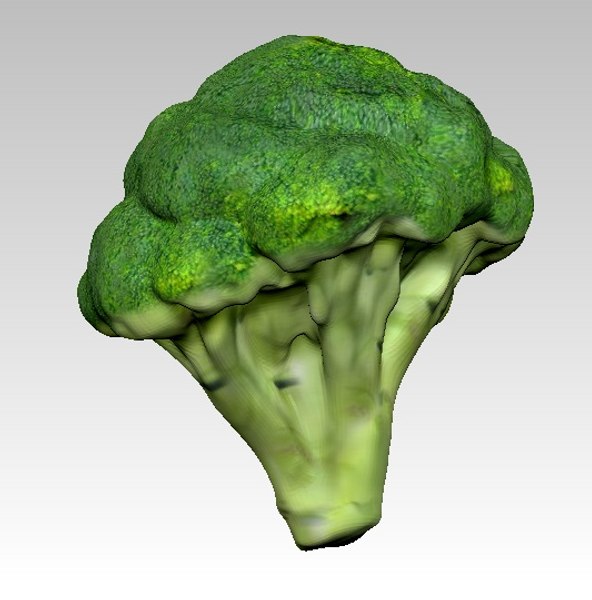realistic broccoli 3d model