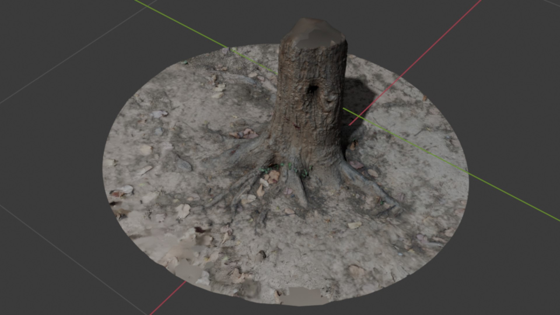 Tree Stump 3D Scan 3D - TurboSquid 2404800
