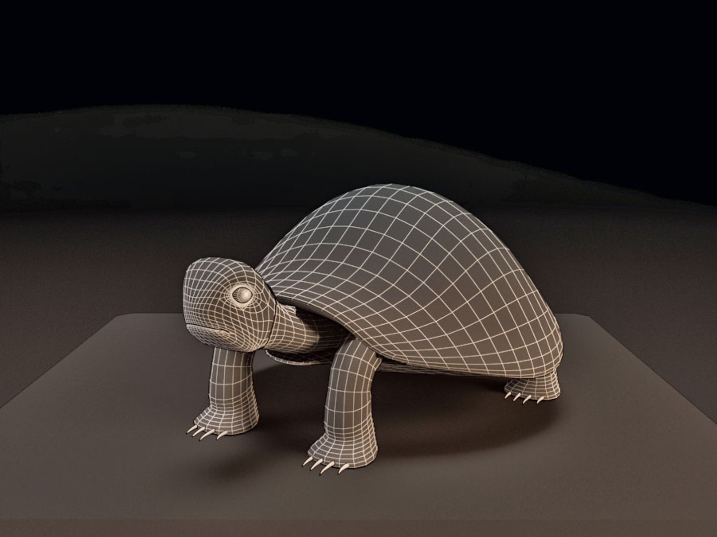 Free Turtle Basic 3D - TurboSquid 1397922