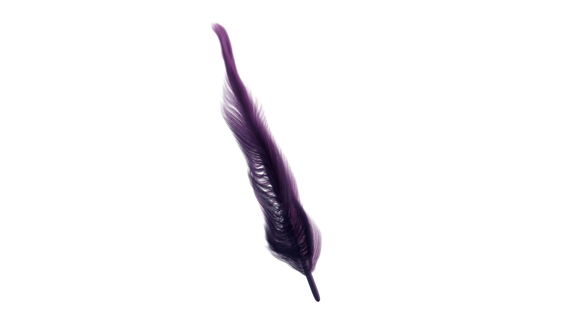 Feather 3D Model 3D - TurboSquid 2429203