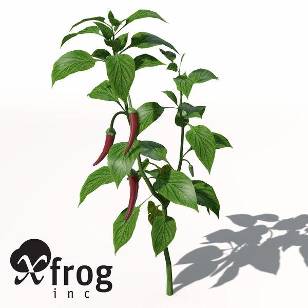 xfrogplants chili pepper plant 3d obj