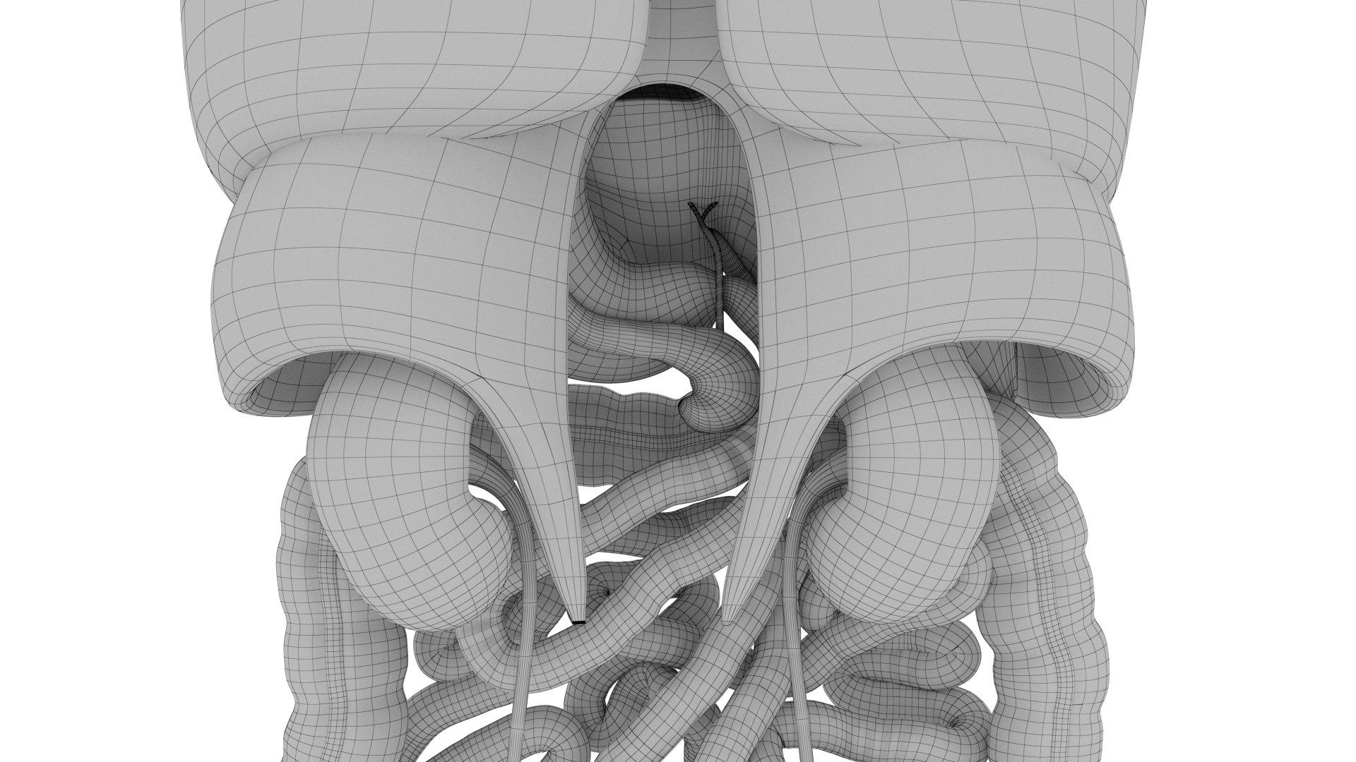3D Internal Organs - TurboSquid 2188775