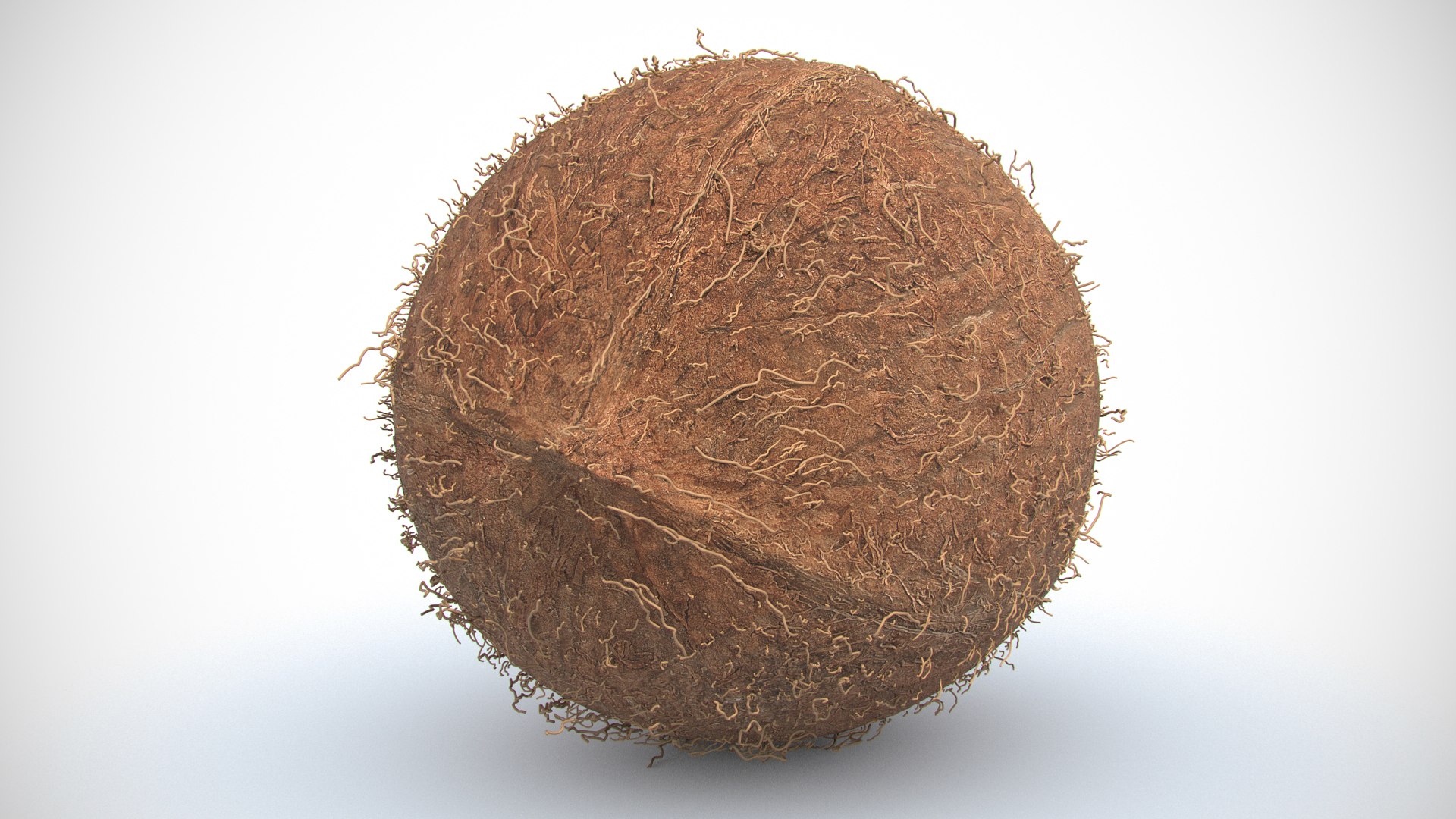 3D Coconut PBR With Fibers Scan Retopo 3D - TurboSquid 2390462