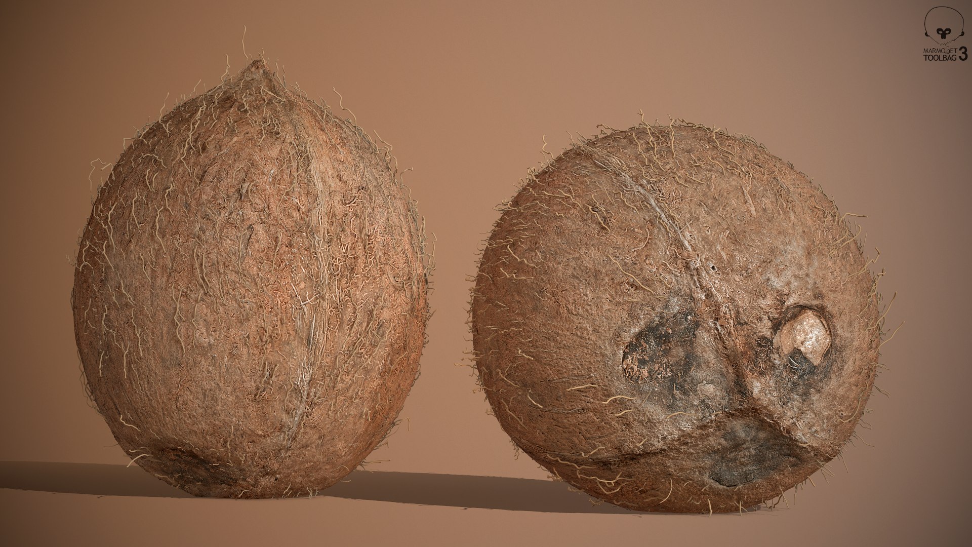 3D Coconut PBR With Fibers Scan Retopo 3D - TurboSquid 2390462