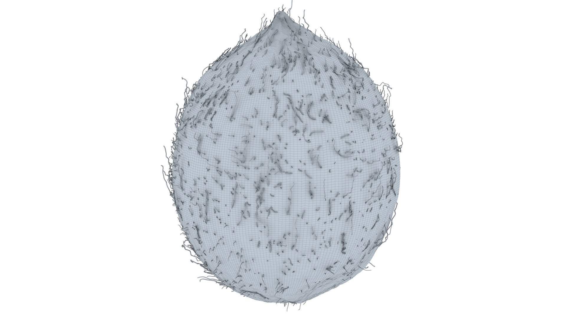 3D Coconut PBR With Fibers Scan Retopo 3D - TurboSquid 2390462