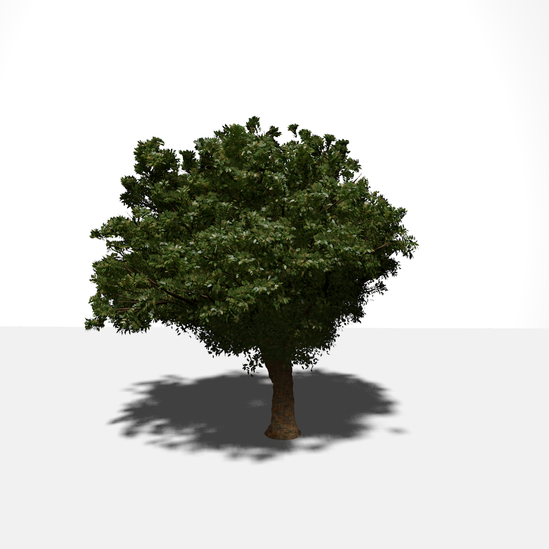 realistic tree 3d obj