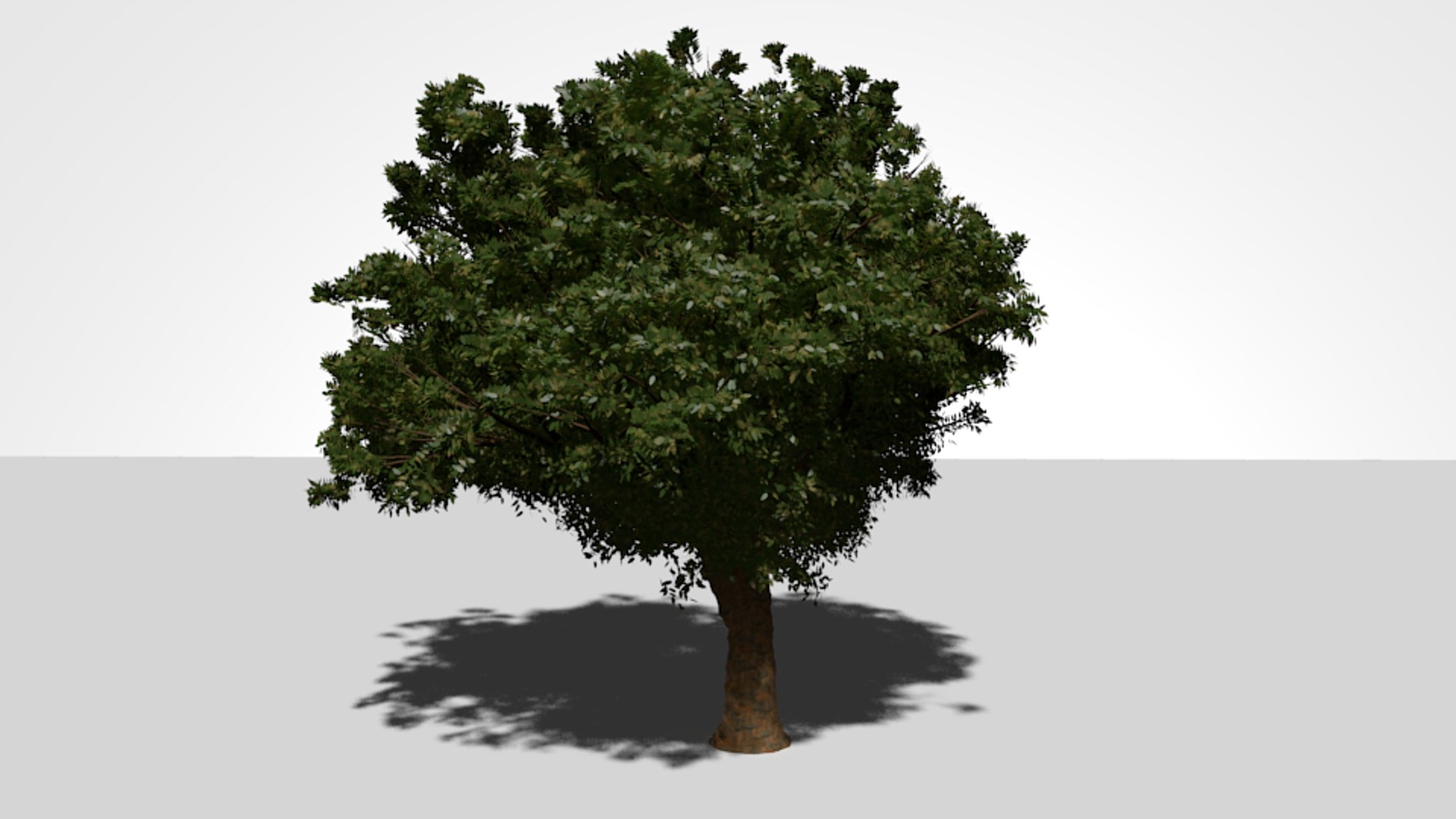 realistic tree 3d obj