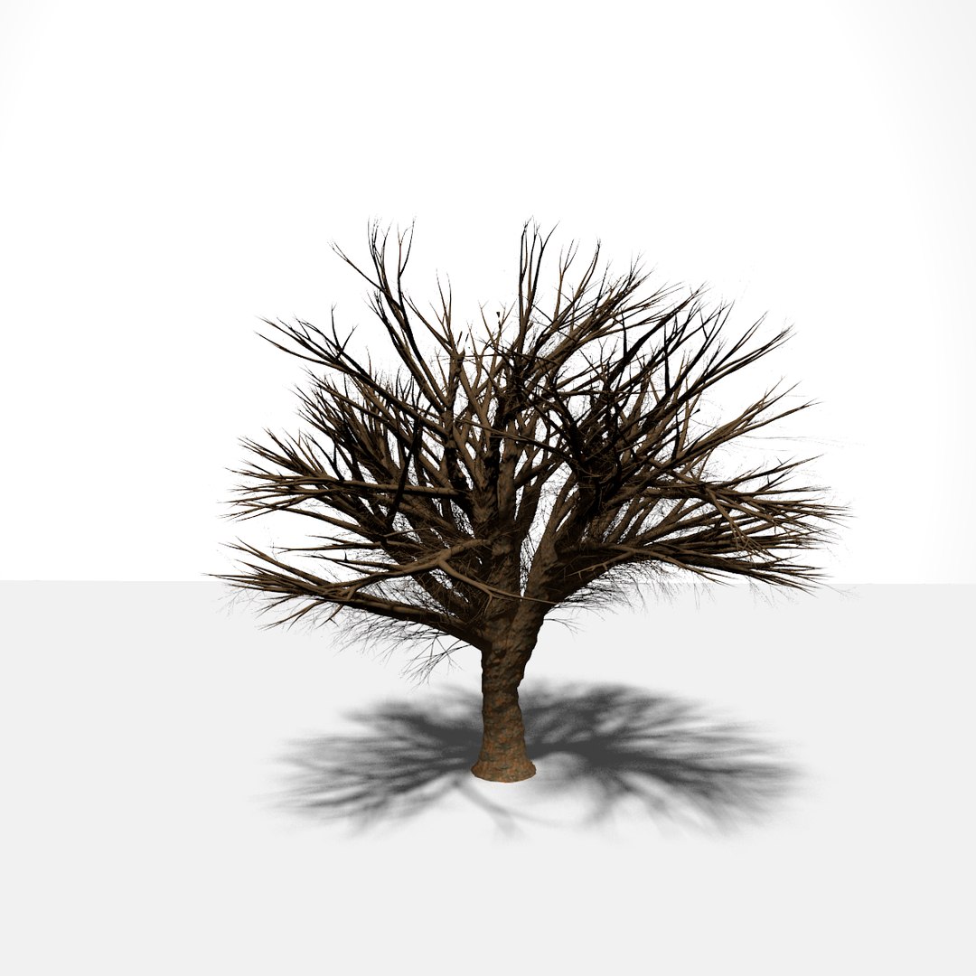 realistic tree 3d obj