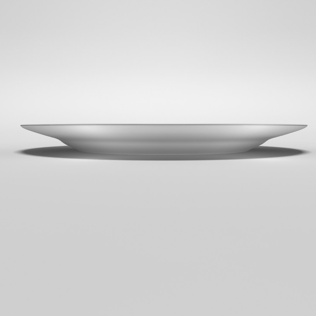 Plate 3d Max
