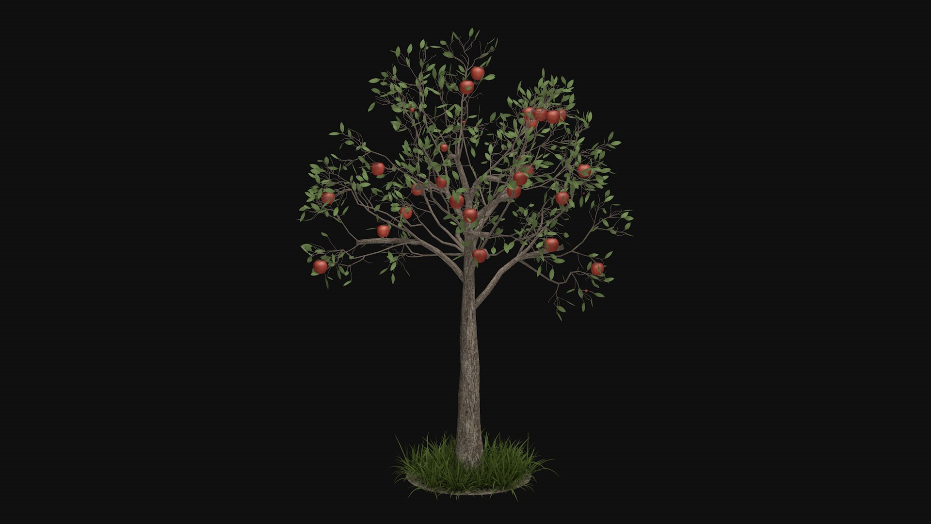 3D Apple Tree With Fruits - TurboSquid 2361144