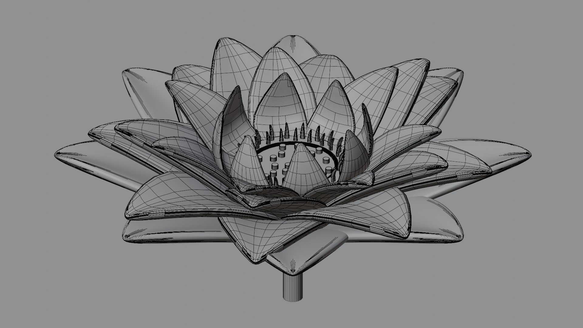 3D Lotus Flower Model - TurboSquid 2357769