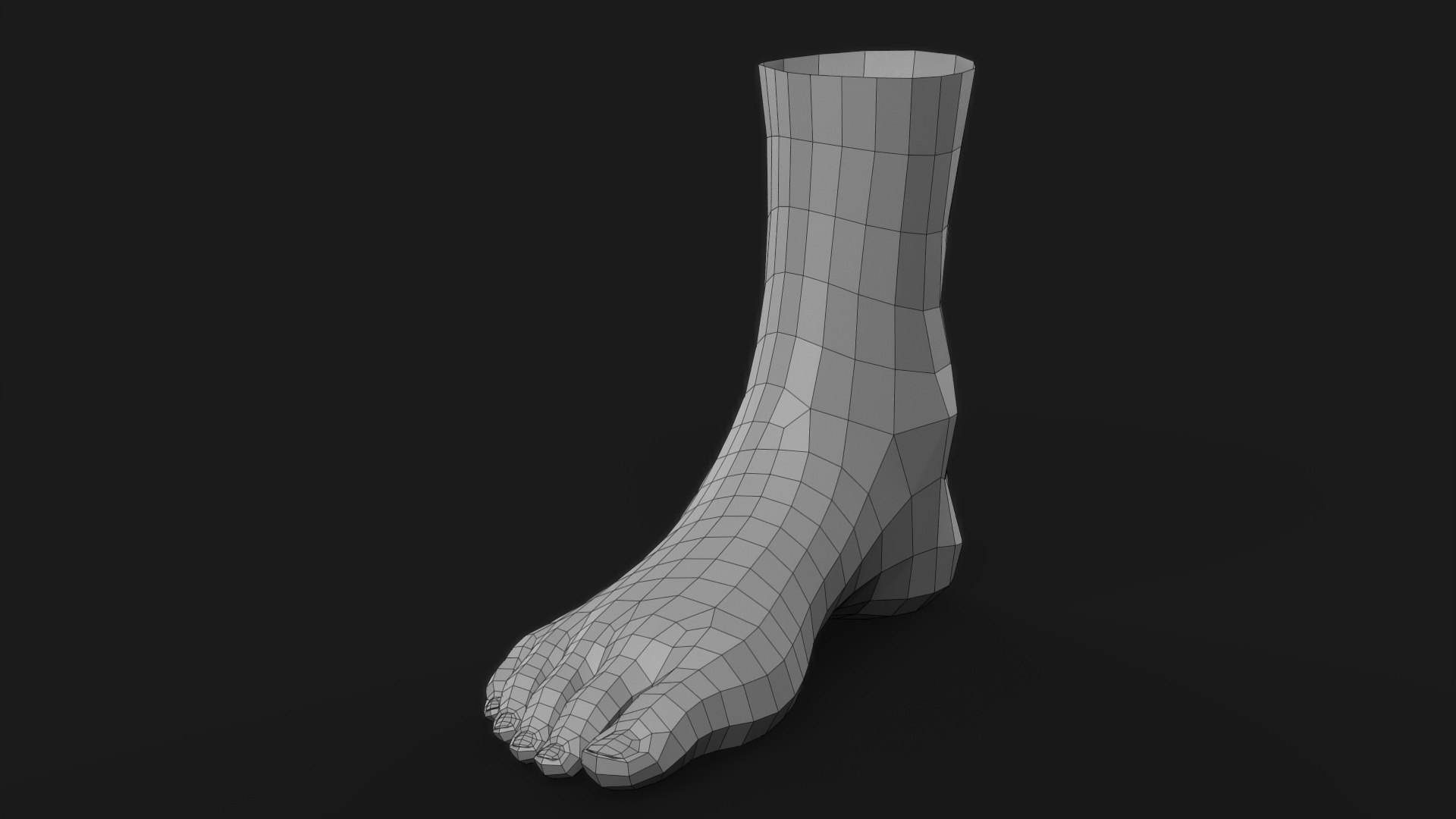 3D Realistic Low Poly Human Foot - TurboSquid 2015351