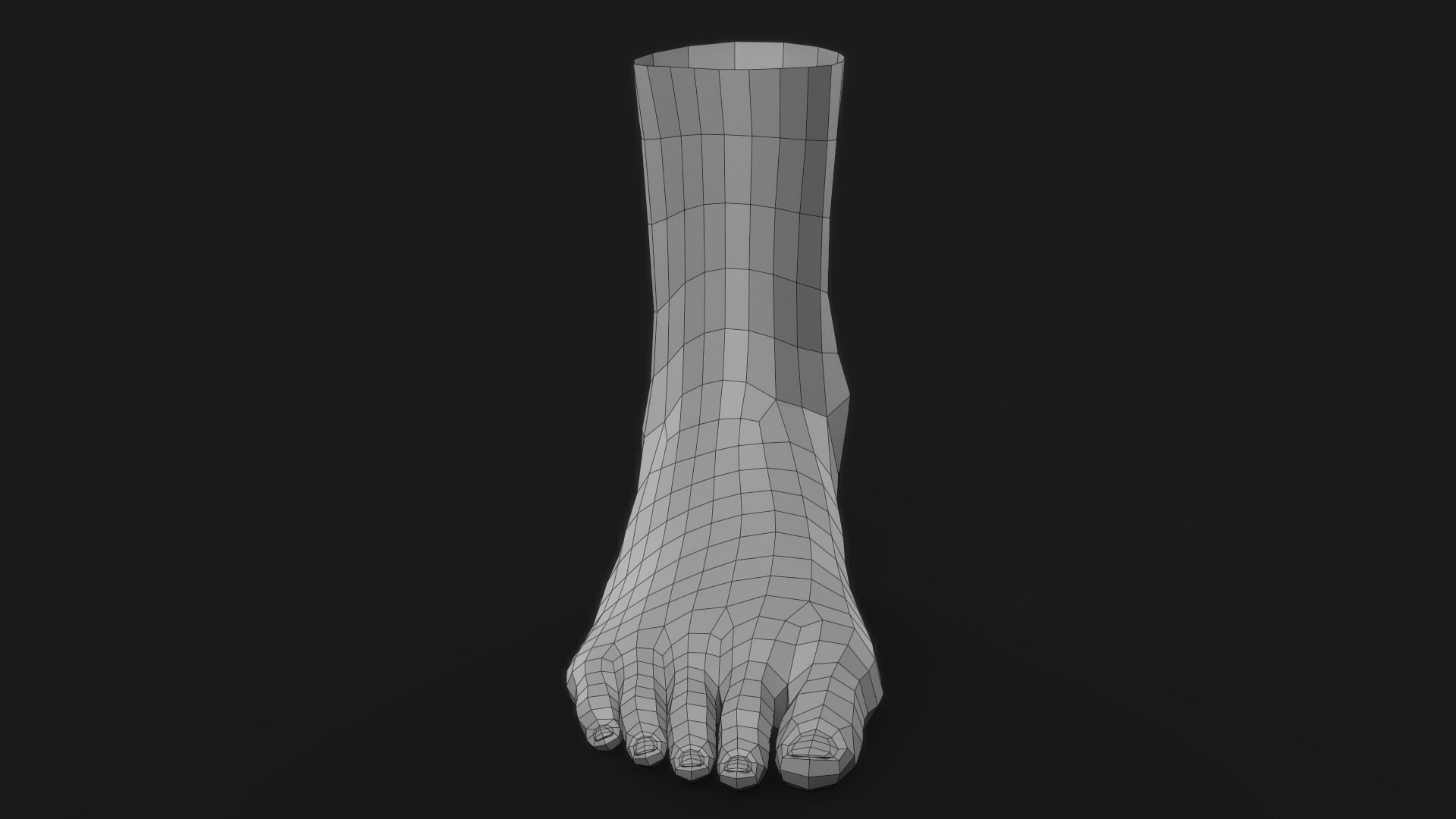3D Realistic Low Poly Human Foot - TurboSquid 2015351