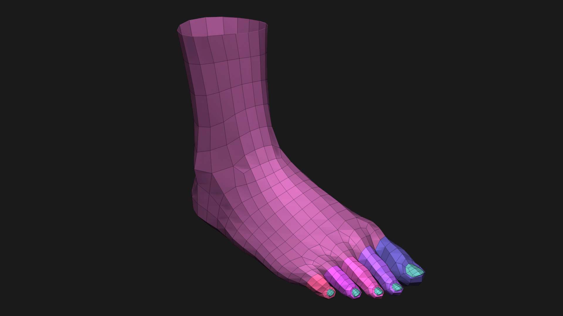 3D Realistic Low Poly Human Foot - TurboSquid 2015351