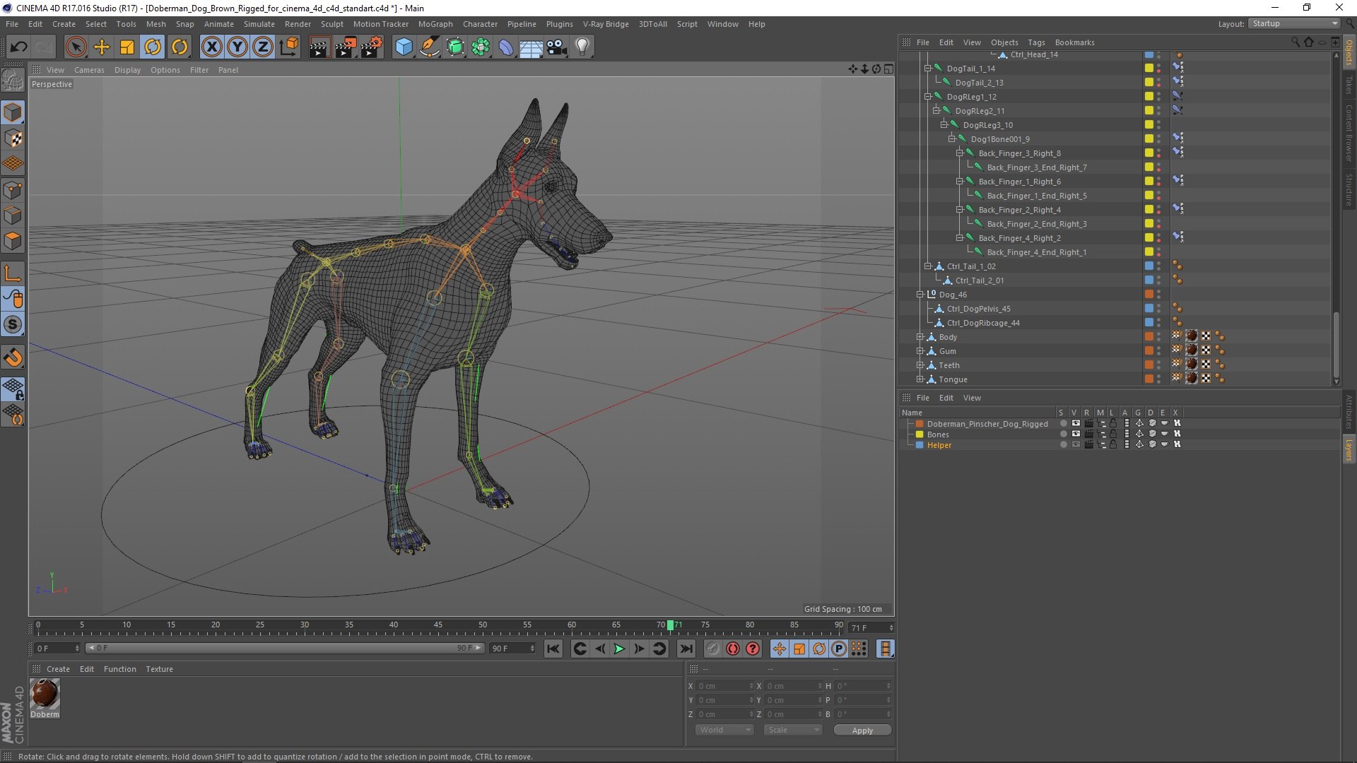 Doberman Dog Brown Rigged For Cinema 4D 3D Model - TurboSquid 2276408