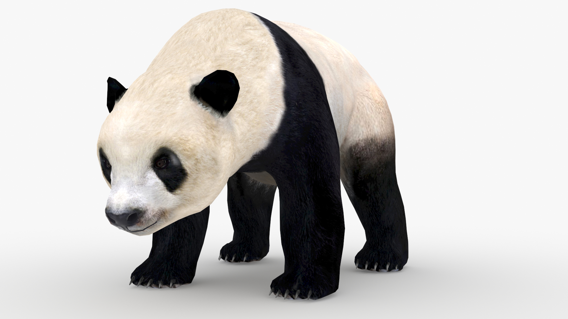 3D model panda bear - TurboSquid 1177944