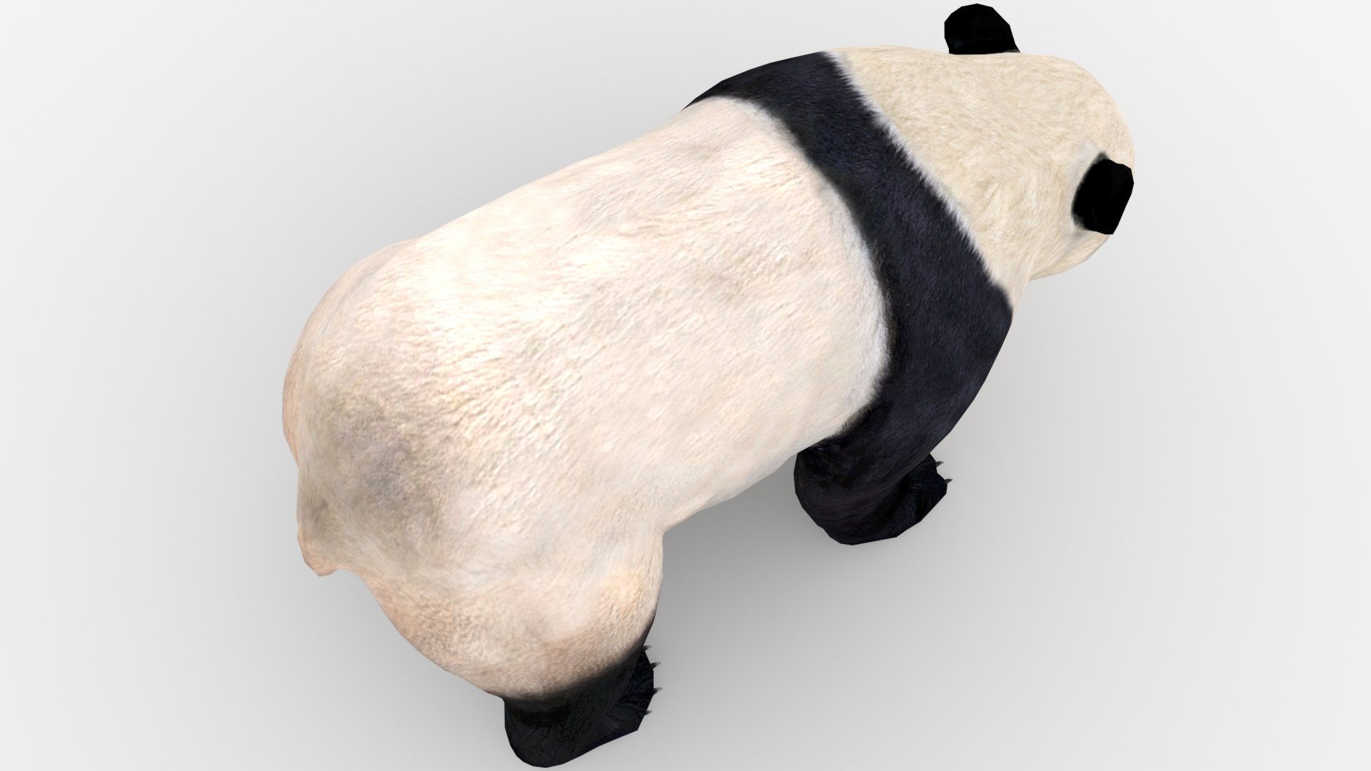 3D Model Panda Bear - TurboSquid 1177944