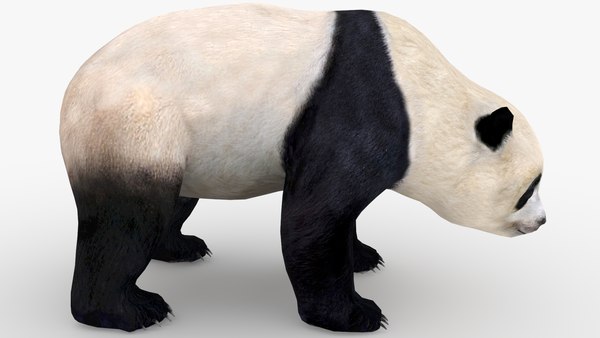 3D model panda bear - TurboSquid 1177944