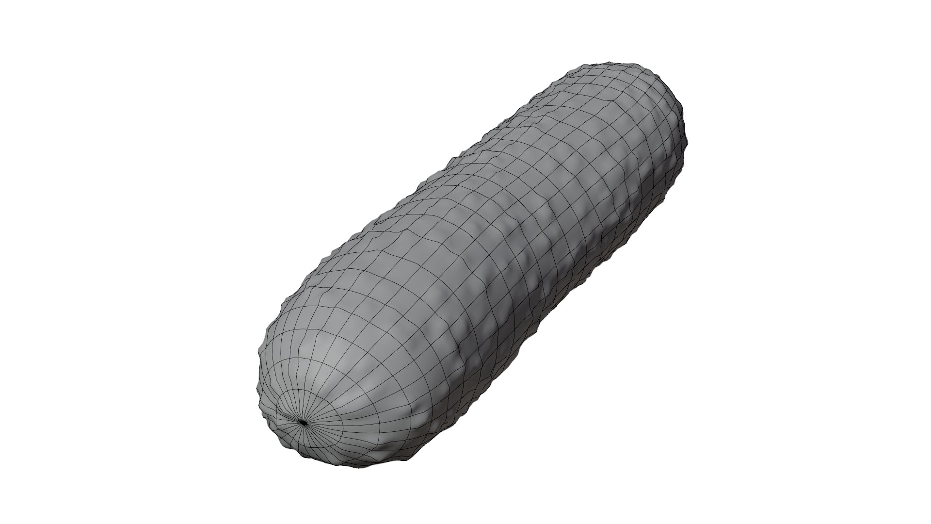 Pickle 3D Model - TurboSquid 2238776