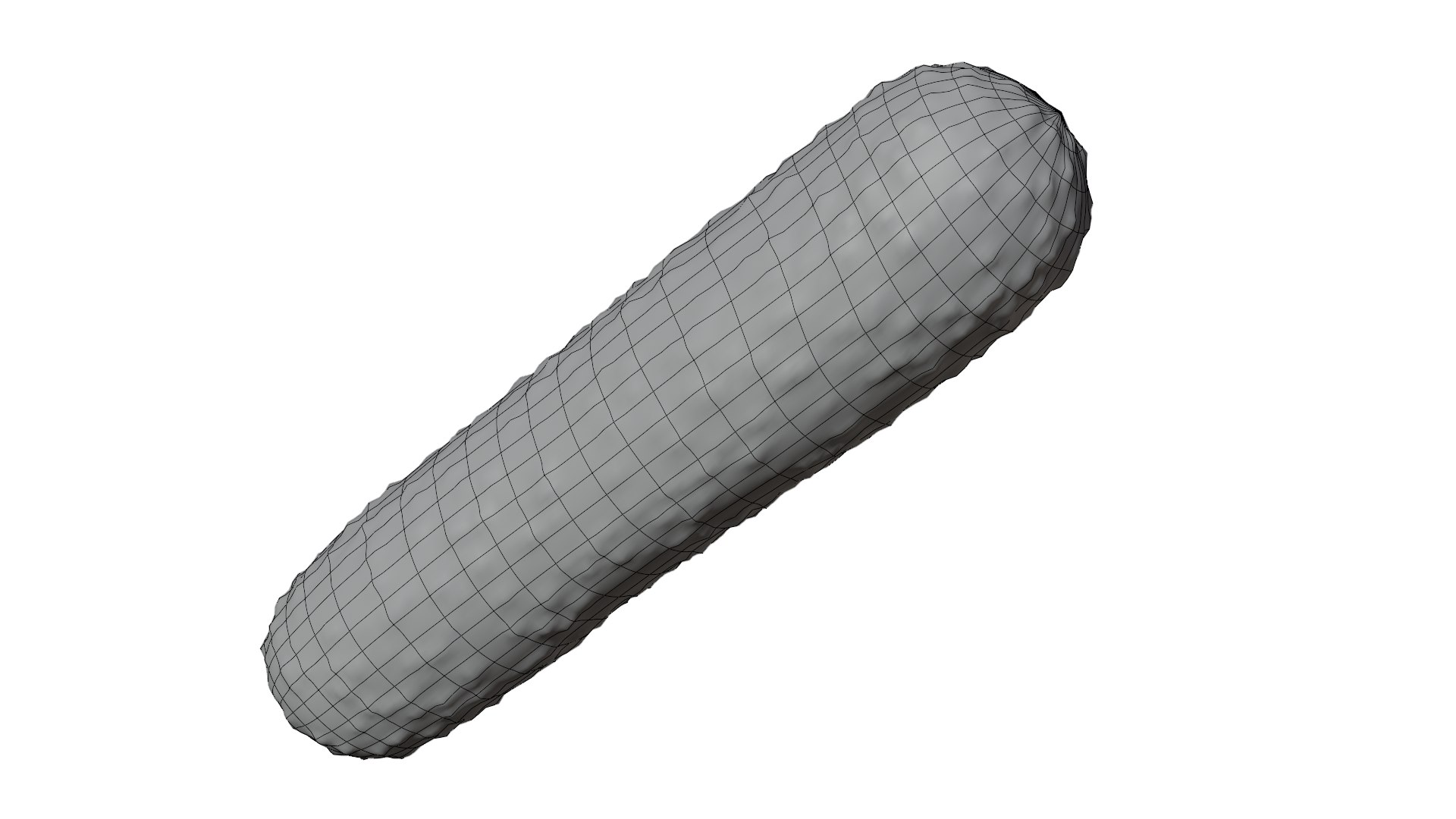 Pickle 3D Model - TurboSquid 2238776