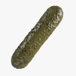 3D Pickle Models - Browse & Download Formats - TurboSquid