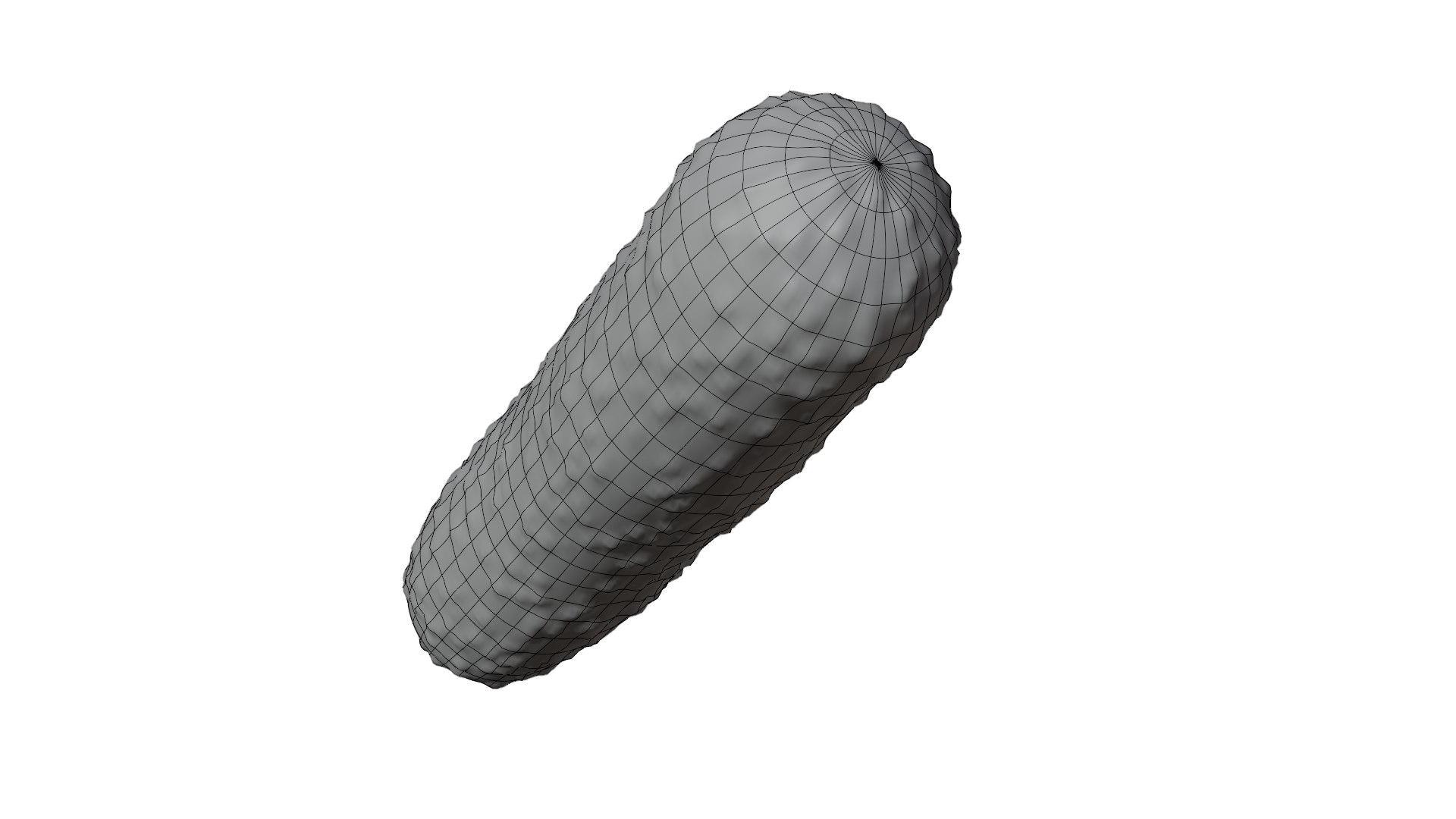 Pickle 3D Model - TurboSquid 2238776