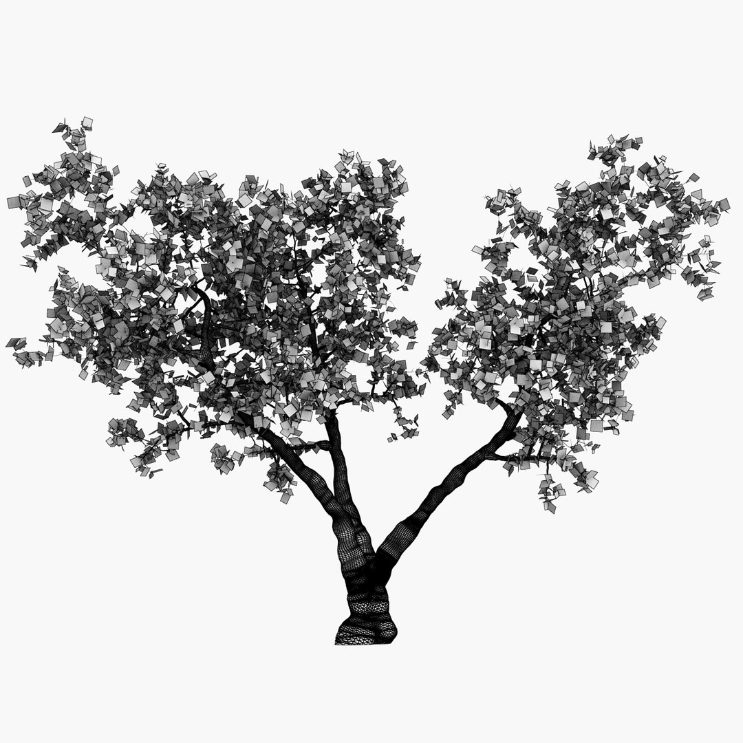 3d realistic oak tree autumn model