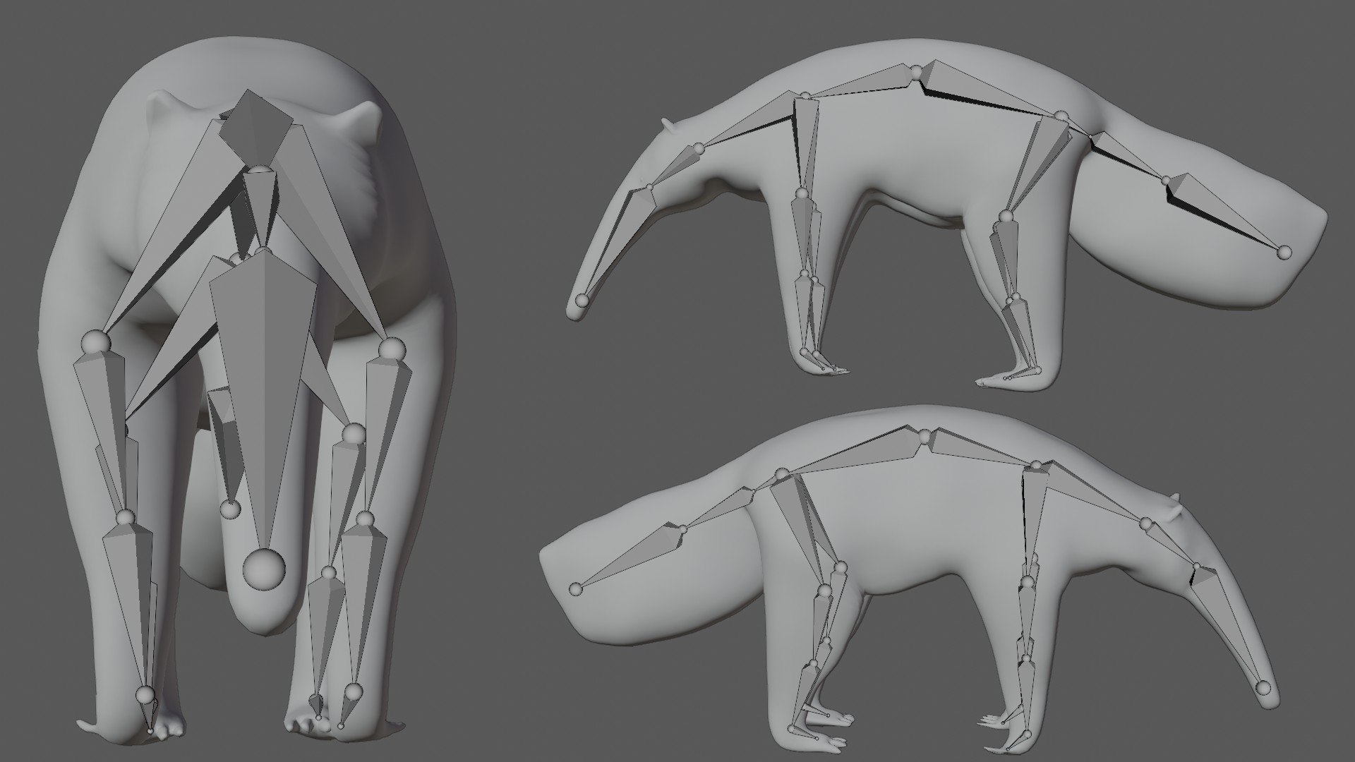 3D Fully Rigged Low Poly Anteater Ant Eater - TurboSquid 1724848