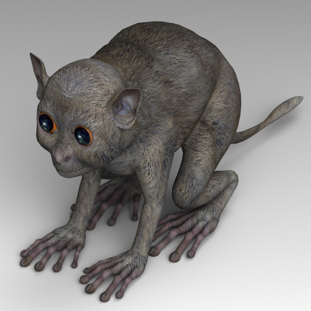 3ds Max Body Tarsiers