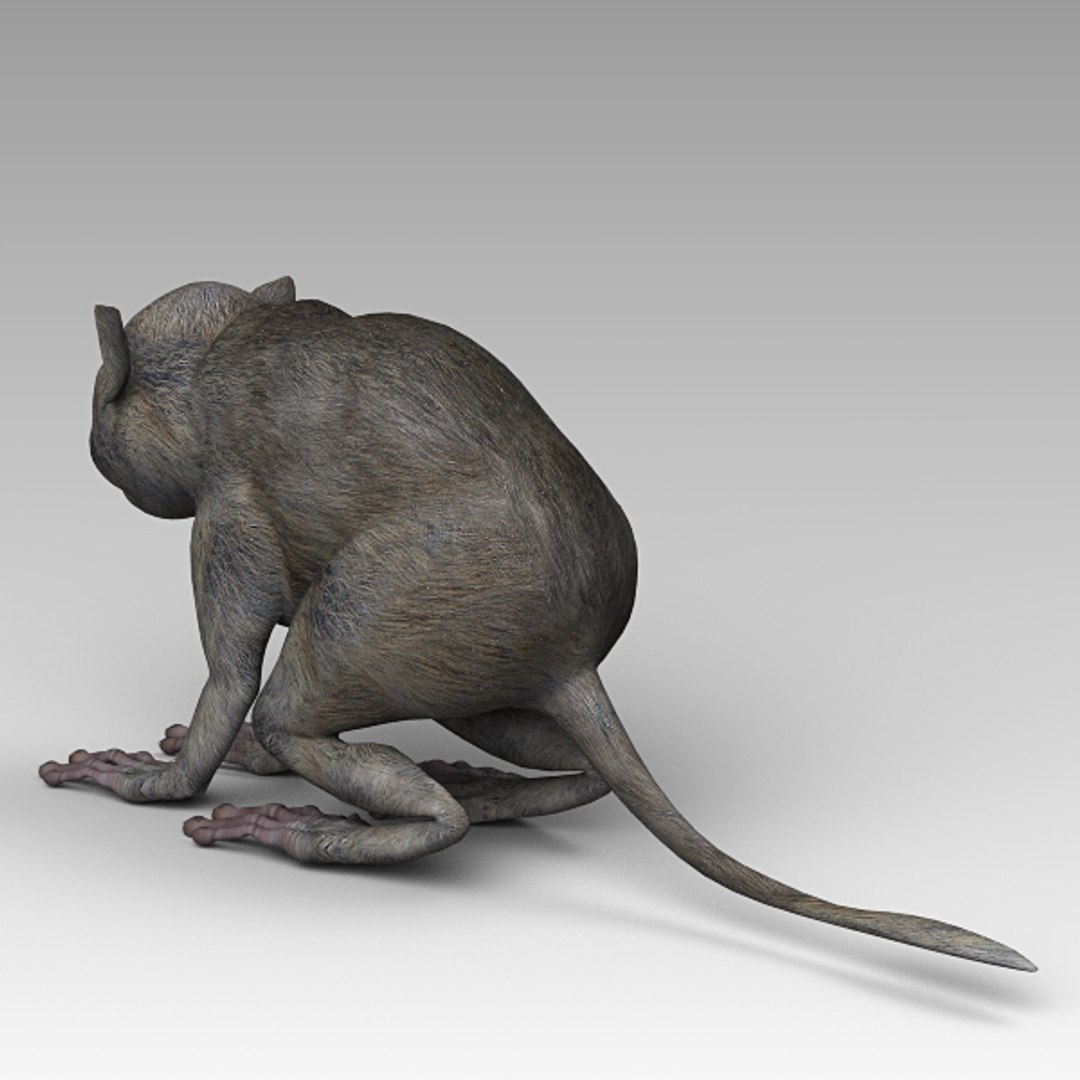 3ds Max Body Tarsiers