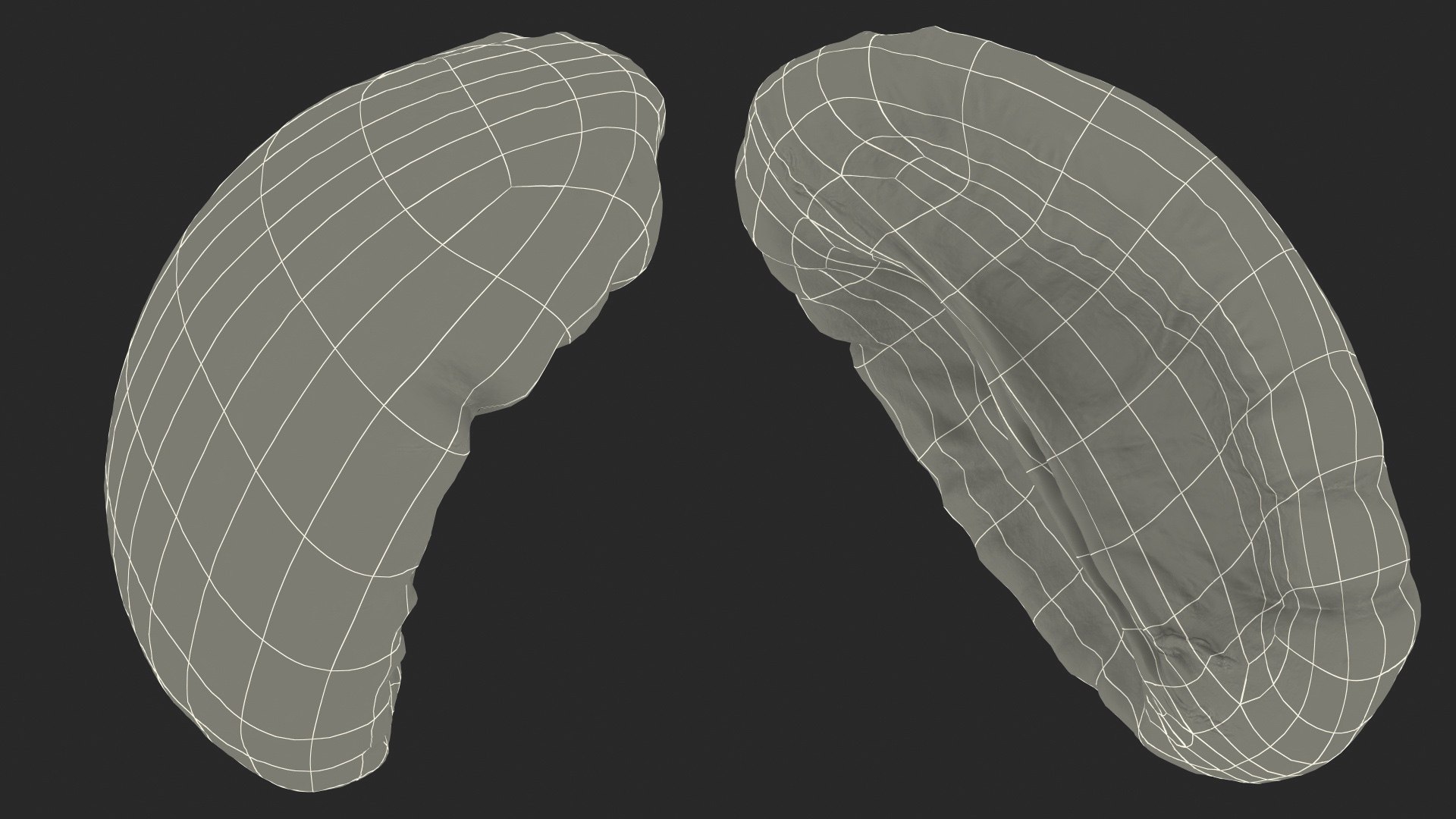 3D Model Human Spleen - TurboSquid 1459668
