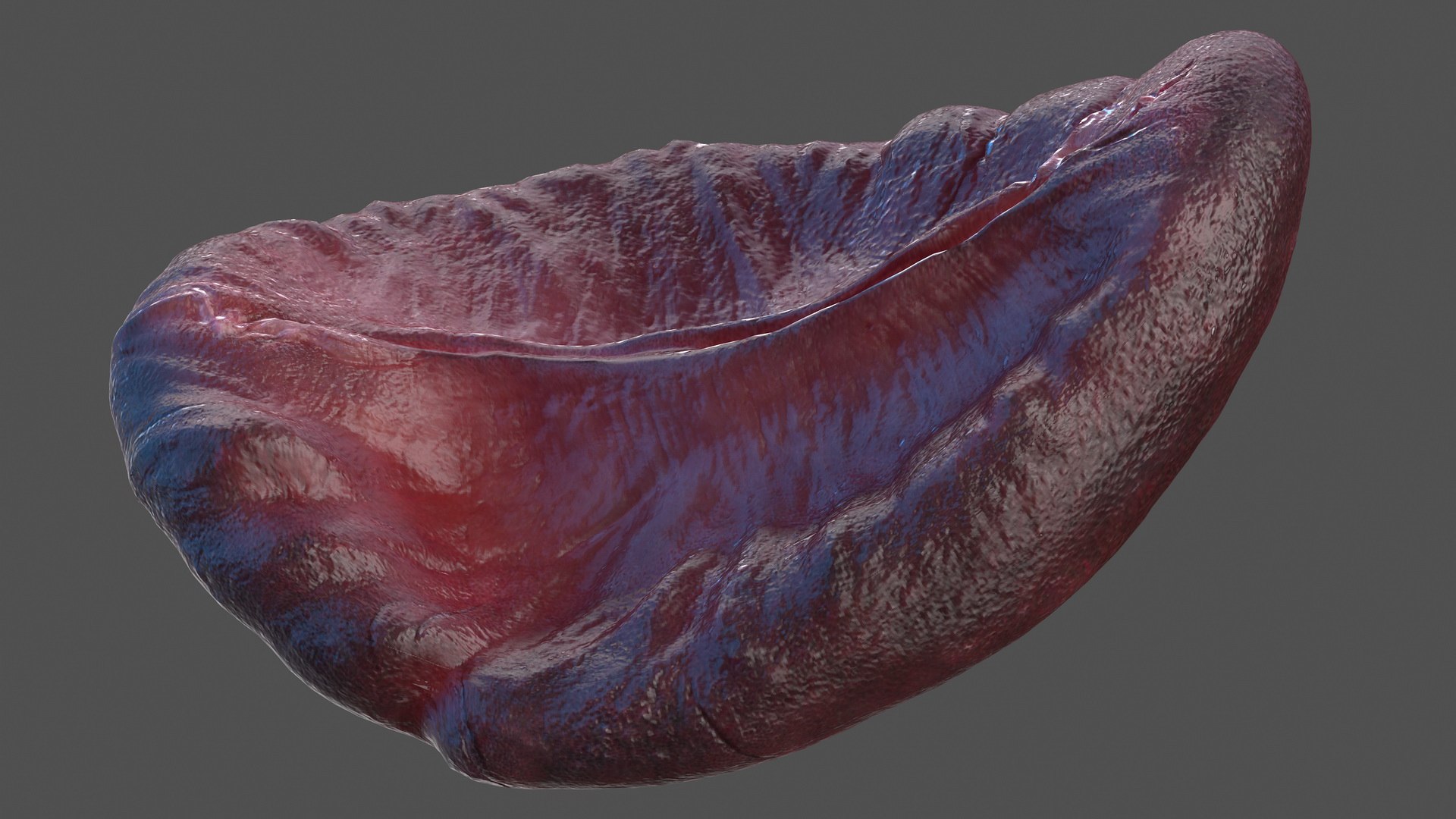 3D Model Human Spleen - TurboSquid 1459668